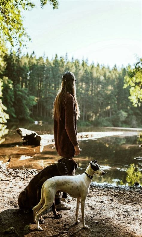 P5 4g Pet Gps Tracker Battery Lasts Up To 15 Day Seeworld