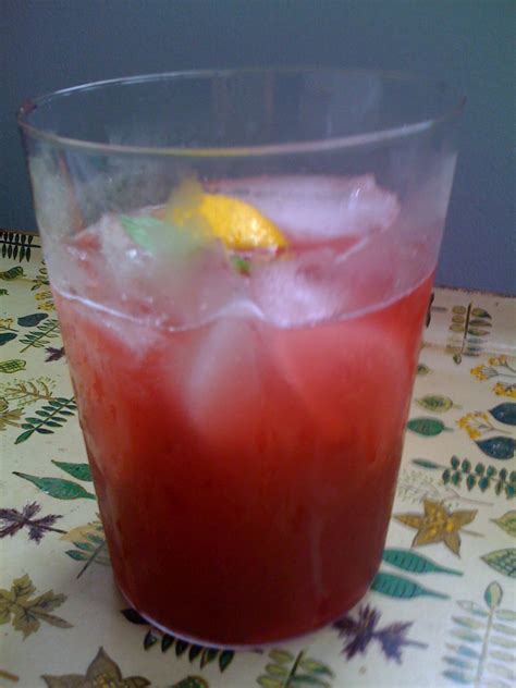 Best Pomegranate Cocktail Recipe How To Make A Pomegranate Cocktail