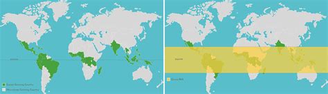 Where Do Cocoa Beans Grow Lake Champlain Chocolates