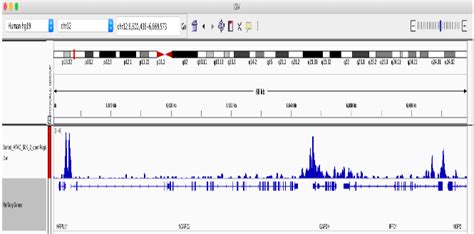 atac seq分析：数据处理（5） seq数据处理 csdn博客