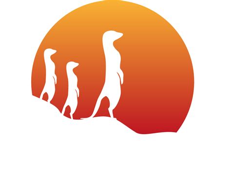 Microsoft Defender — Kql Script To Detect User Local Accounts In Windows And Macos Devices By