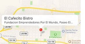 Pin Address Size Issue Amay Xamarin Forms Googlemaps Github