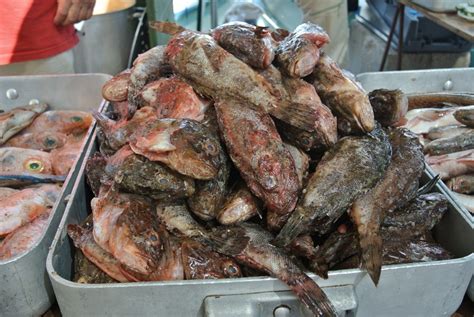 무료 이미지 바다 요리 식품 해물 시장 물고기 야외 파티 바위 제전 식사 전통 굽는 데 알맞은 굽는 것 양고기와 양고기 부이 베스