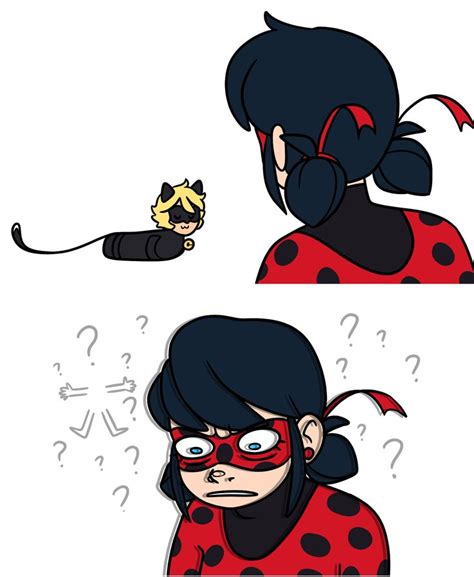 Cat Loaf Miraculous Ladybug Comic Miraculous Ladybug Memes