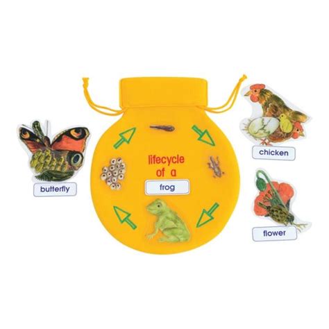 Life Cycle Sequencing Bag Educational Resources Creative Activity