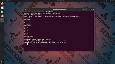Основы Python для программируемых сетей и систем — выполнение программ Devops Devnet инженер
