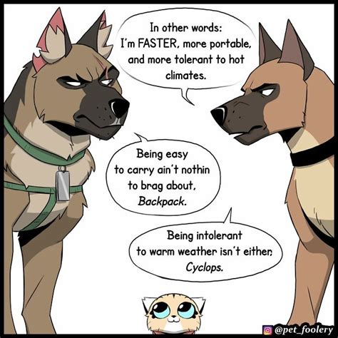8 New Comic Strips Of Pixie And Brutus Adventures Bored Panda