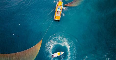 경치가 좋은 관광 근해 낚시 낚시 낚시 그물 동남아시아 동남아시아 문화 드론으로 찍은 사진 말레이시아 모터보트 모험 물의 흐름 바다 바다 모험