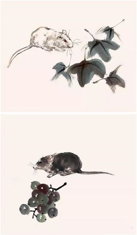写意国画鼠 老鼠水墨画 工笔画老鼠图片 第2页 大山谷图库