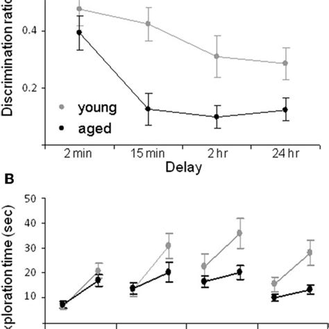 Spontaneous Object Recognition Task Performance In Young And Aged Rats