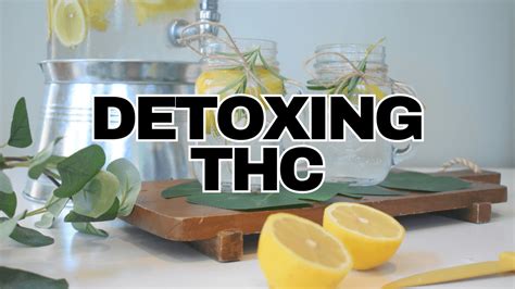 Detox Drinks For Thc Recipes And Tips Restart Cbd And Thc