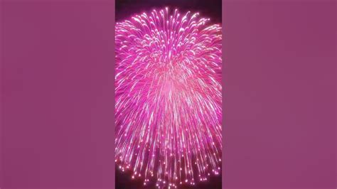 水母烟花🧨烟花中的天花板 Youtube