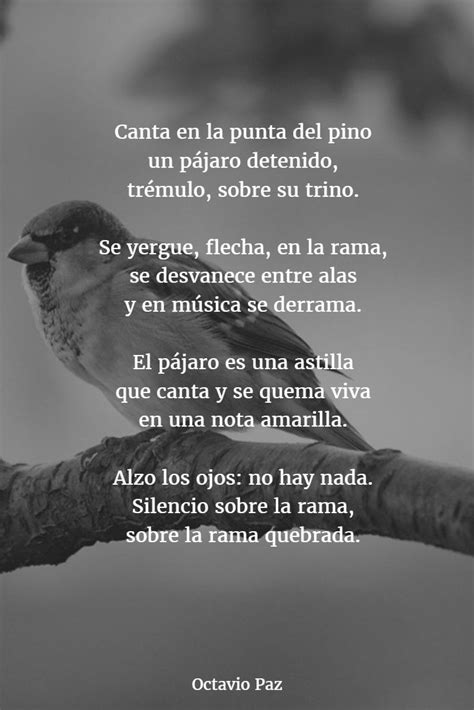 Poemas De Octavio Paz Una Colección Imperdible Frases Octavio Paz