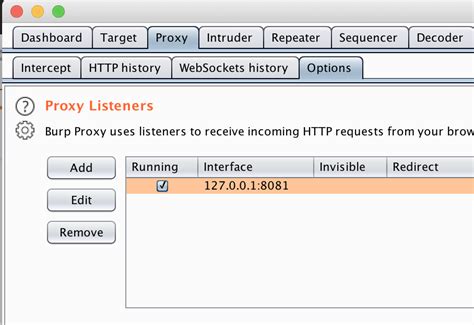 security burp tool configuration stack overflow
