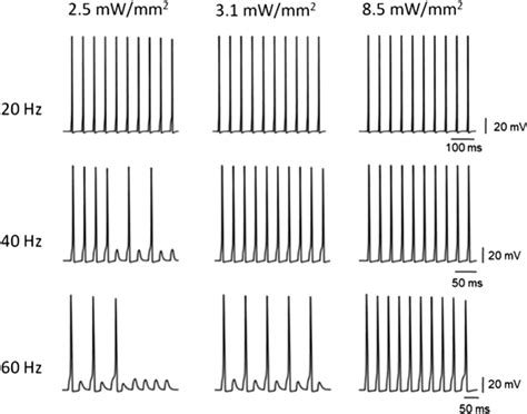 Theoretical Optimization Of High Frequency Optogenetic Spiking Of Red Shifted Very Fast Chrimson