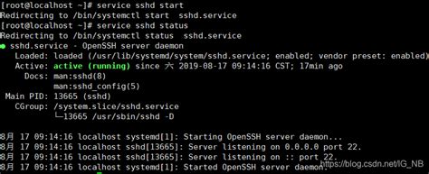 Linux Ssh安装和卸载yum Remove Sshd Csdn博客 Linux Ssh安装和卸载yum Remove Sshd Csdn博客