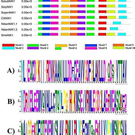 Conserved Protein Motif Analysis Of Nik1 In Arabidopsis Thaliana And