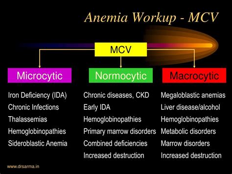 Iron Deficiency Anemia Low Mcv At Jack Waller Blog