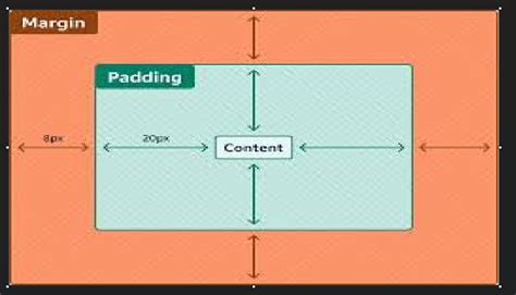Understanding Margin And Padding In Css Spacing Html Elements Effectively