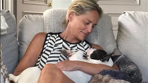 Шарън Стоун на 60 Без грим и с готварска престилка СНИМКИ Nova Bg