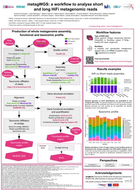 Pdf Metagwgs A Workflow To Analyse Short And Long Hifi Metagenomic