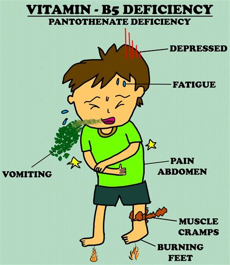 Vitamin B5 Deficiency Vitamin B 5 Pantethine Acid National Nutrition