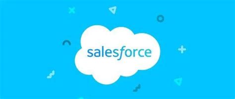 Salesforce架构师的10大原则 软件 客户 系统