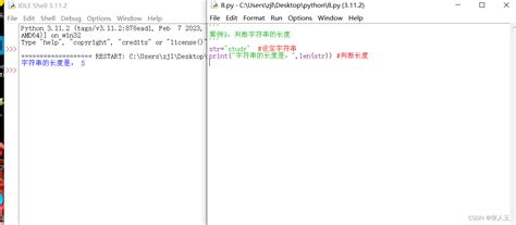 Python——案例9：判断字符串的长度对于列表中的字符串判断长度 Csdn博客