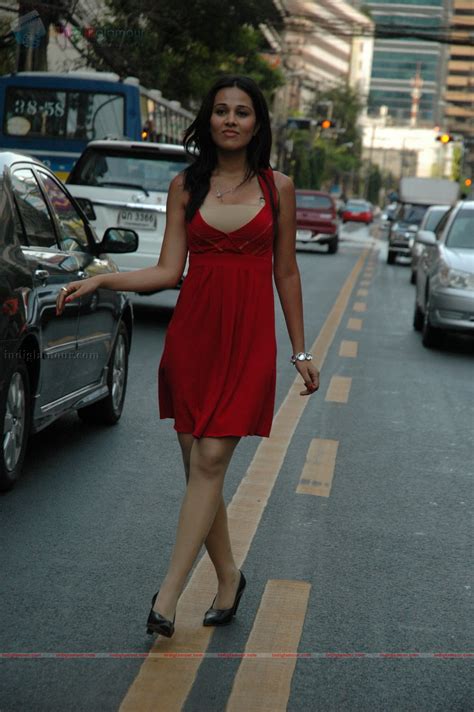 Nisha Kothari Actress Hd Photos Images Pics And Stills