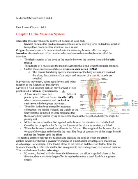 Midterm Review Units And Midterm Review Units And Unit Notes Chapter Chapter