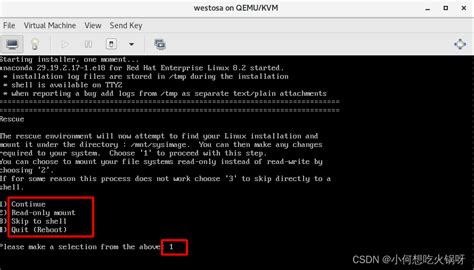 复习之linux系统的引导修复