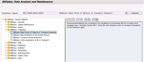 brfplus a hidden gem within your sap system xpertminds