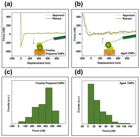 8 Force Distance Spectroscopy Of 600 Nm Silica Bead Interacting With Download Scientific