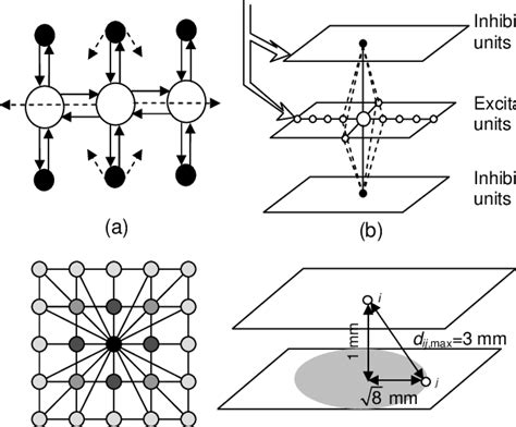 Architecture Of The Cortical Model A General Principle For