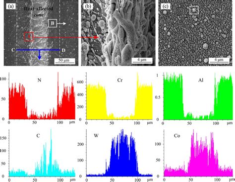 Sem Micrographs Of The Groove And Edx Analyses Of Line Cd Download Scientific Diagram