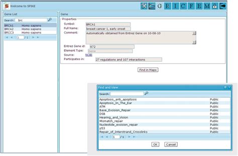 Browsing Spike Database Basic Searching Utilities Over Spike Database Download Scientific