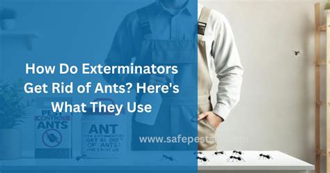 How Do Exterminators Get Rid Of Ants Heres What They Use