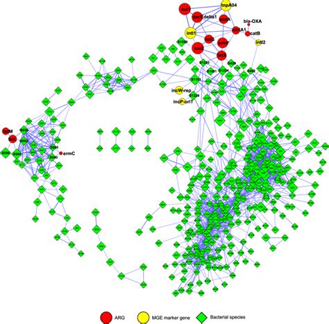 Network Analysis Among Args Mge Marker Genes And Bacterial Species