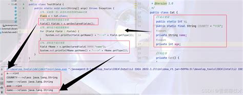 Java高级：反射java 反射教程 Csdn博客