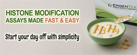 Comprehensive Solutions For Histone Modification Analysis Epigentek