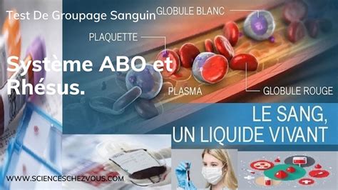 Comment Se Passe Le Test De Groupe Sanguin Youtube