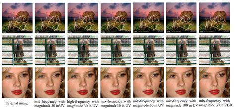 深度学习后门攻击分析与实现（二） 蚁景网安实验室 博客园