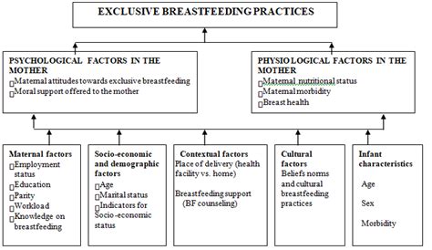 Factors Affecting Exclusive Breastfeeding Practice Among Nursing Mothers