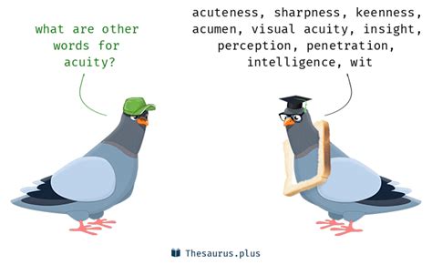 More 300 Acuity Synonyms Similar Words For Acuity