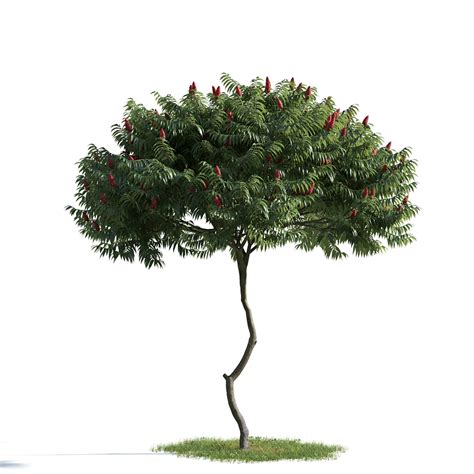 3d Archmodels Vol 163 Trees