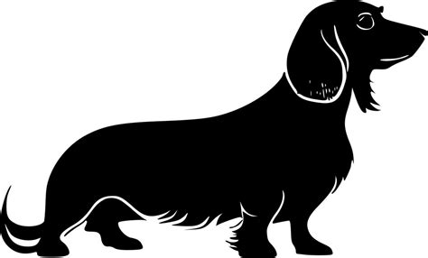 Dachshund Black And White Vector Illustration 23851518 Vector Art At