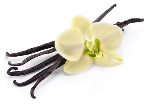Vanilla Facts And Benefits Health Benefits