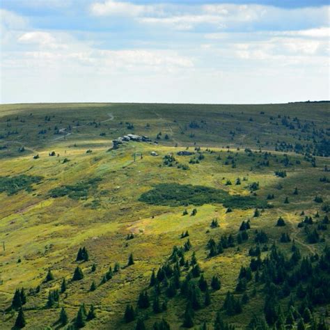 Appendix I Brief Overview Of Vertical Zonation Development In A Wider Download Scientific