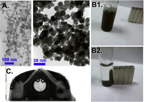 A Paramagnetic Nanoparticles Pmnps Exposing The Suspension Of