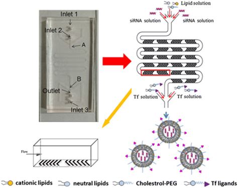 Design Of Functional Nanoparticles By Microfluidic Platforms As